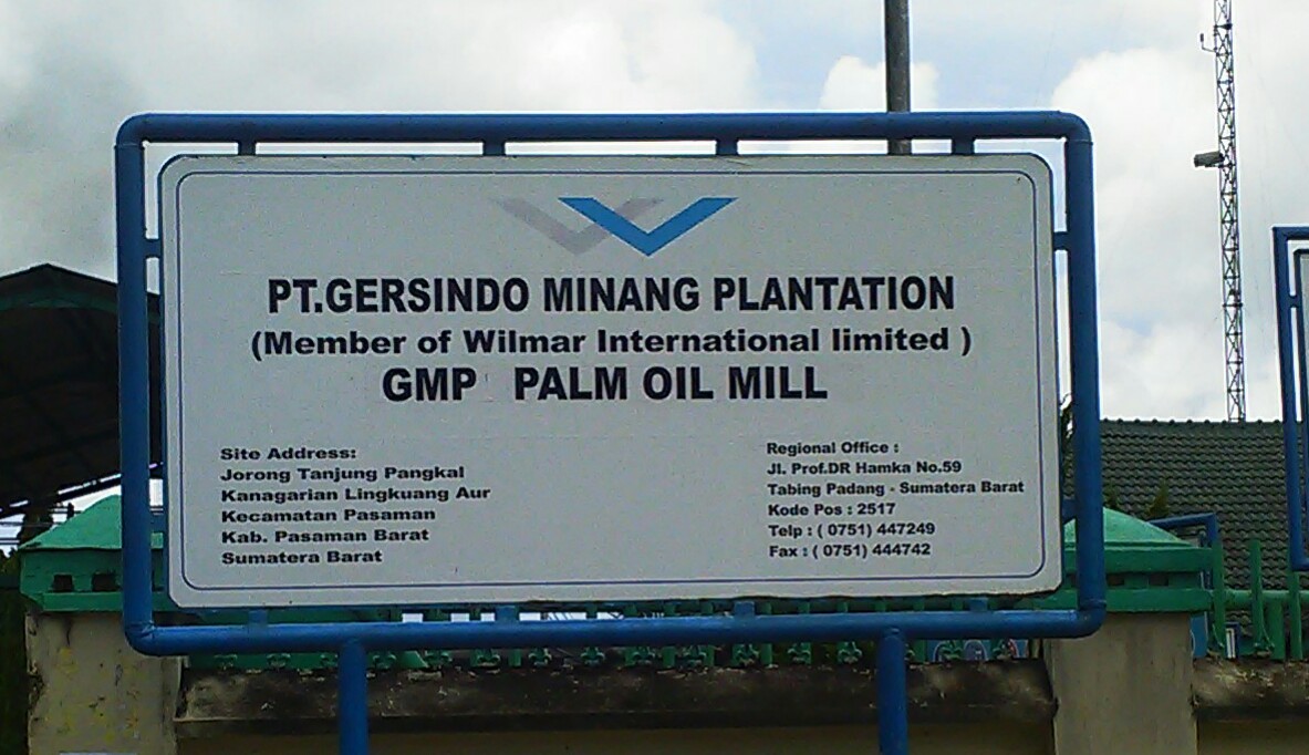 GM PT.GMP Tanjung Pangkal, Diduga Aniaya Pencuri TBS Hingga Babak Belur ...