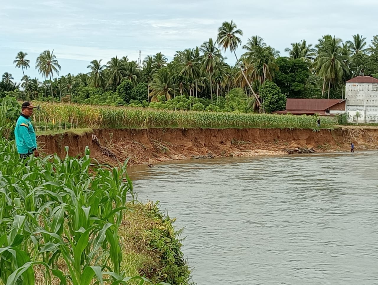 Banjir dan Erosi Sungai Batang Pelangai Ancam Rumah Warga dan Lahan ...